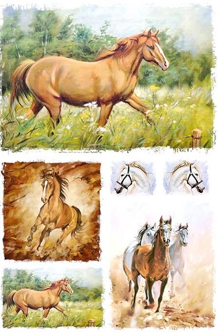 Horses Rice Paper – EE Wholesale