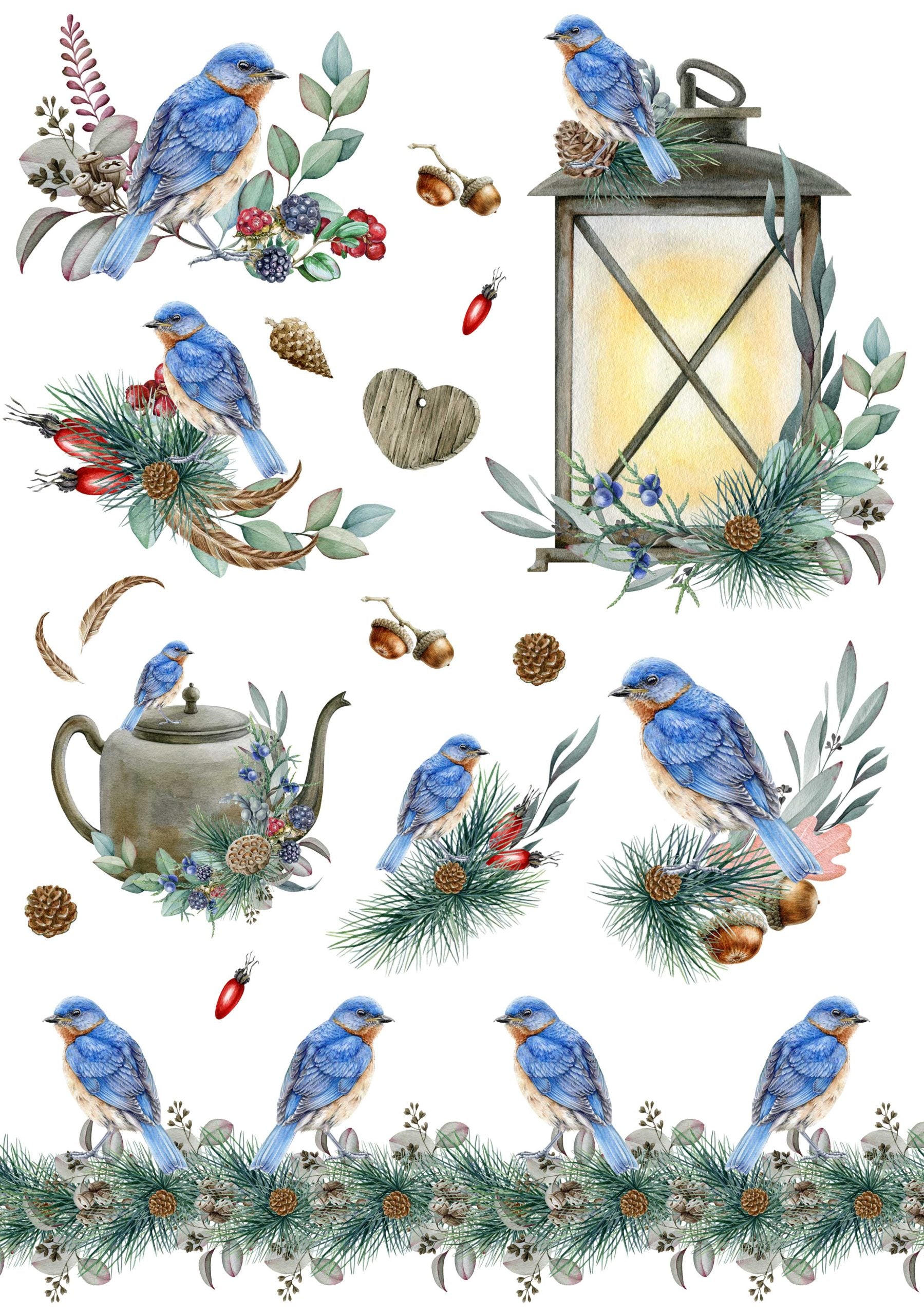 Eastern Bluebird Rice Paper | Eastern Bluebird Decoupage Paper – EE ...